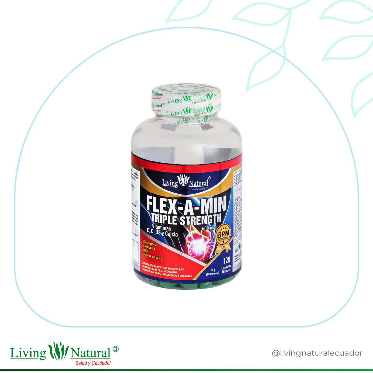 FLEX-A-MIN TRIPLE STRENGTH | 600 mg | X30, X90, X120 – Living Natural ...