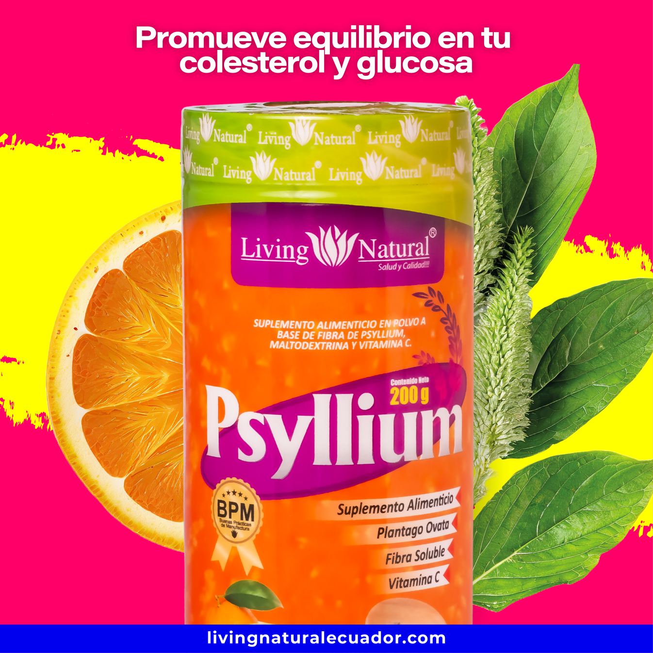 PSYLLIUM | FIBRA | 250 GR – Living Natural Ecuador